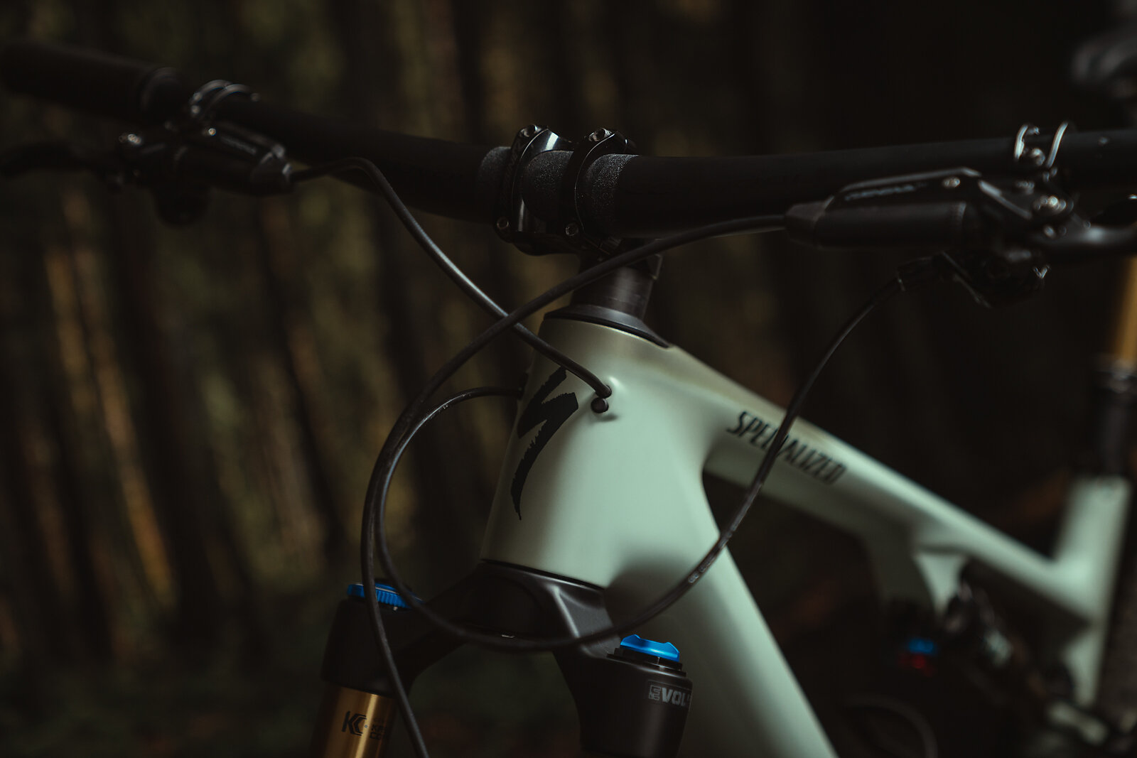 Bike Review | Specialized Epic 8 Evo Pro | Freehub Magazine